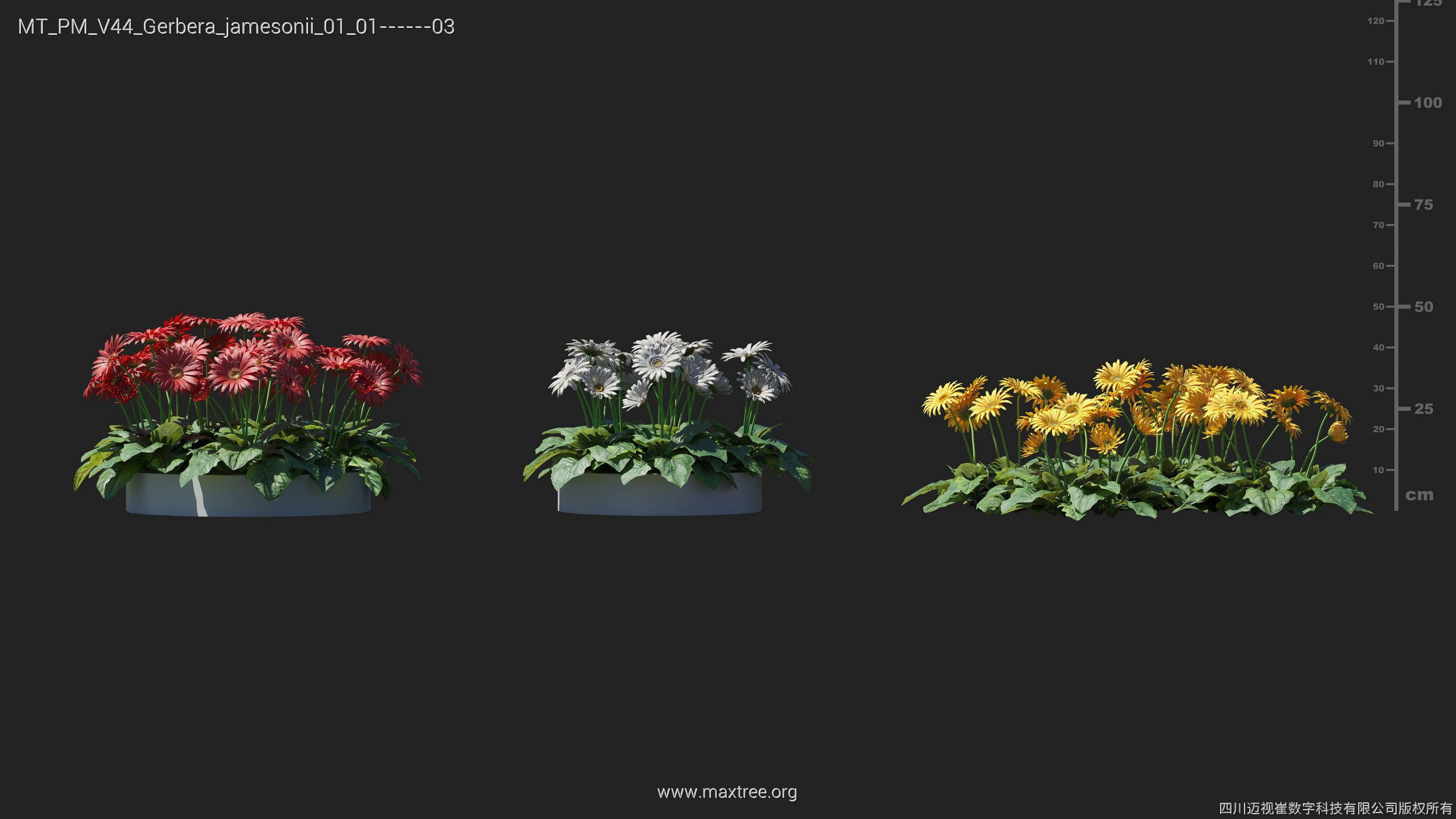 Maxtree Plant Models Vol 44 - Mesh 3D model | CGTrader