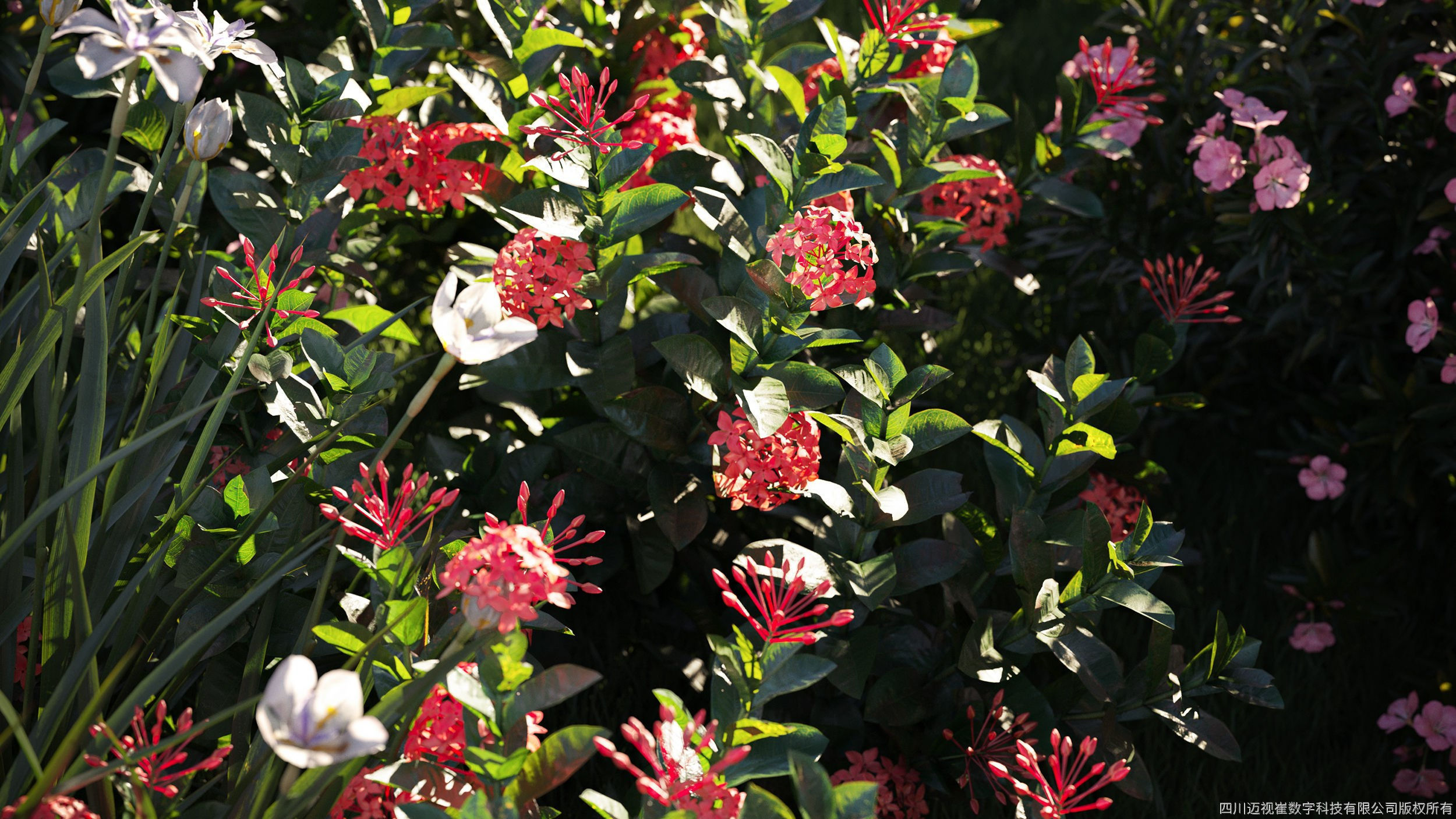 Maxtree Plant Models Vol 44 - Mesh 3D model | CGTrader