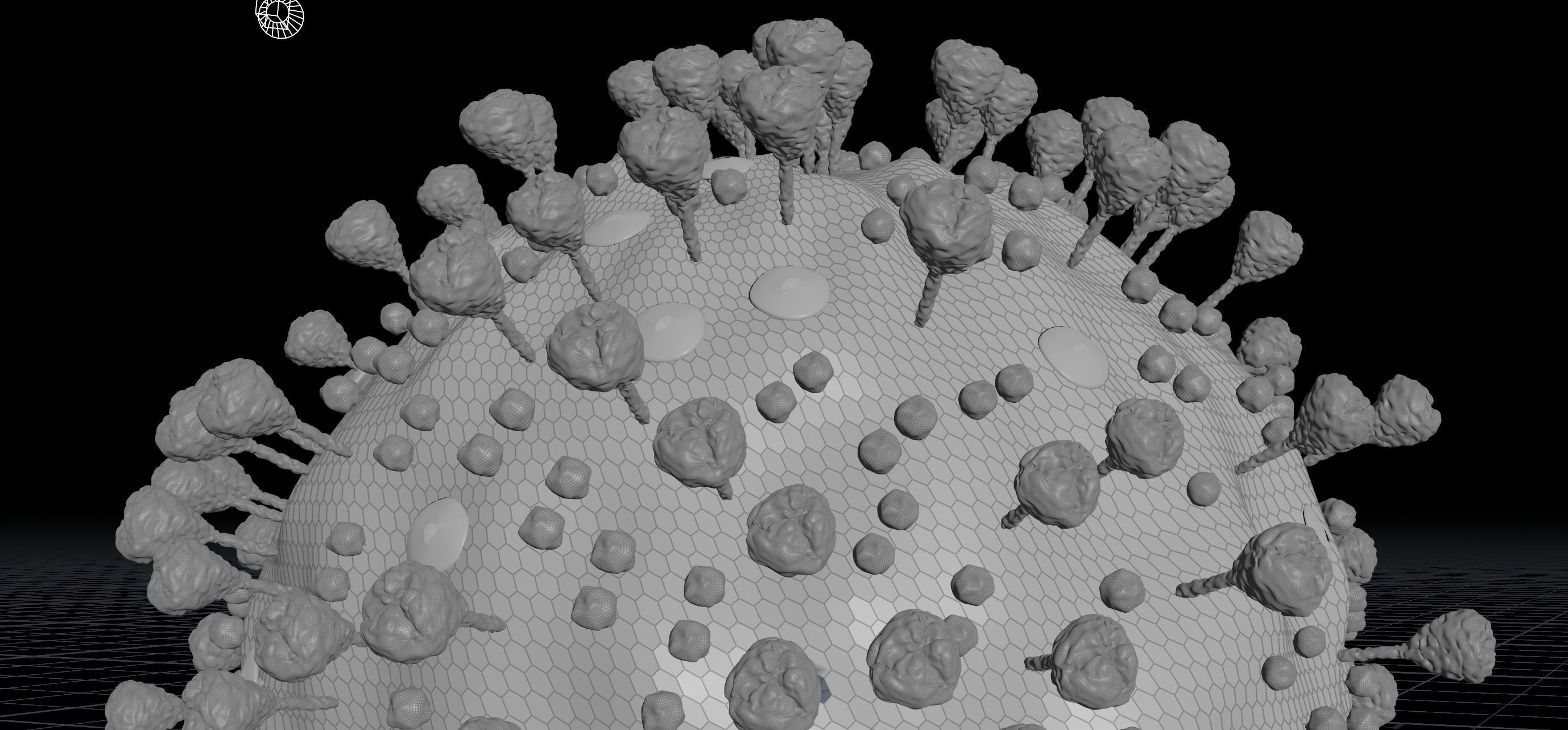 Corona Virus Covid 19 Bacteria 3D model | CGTrader