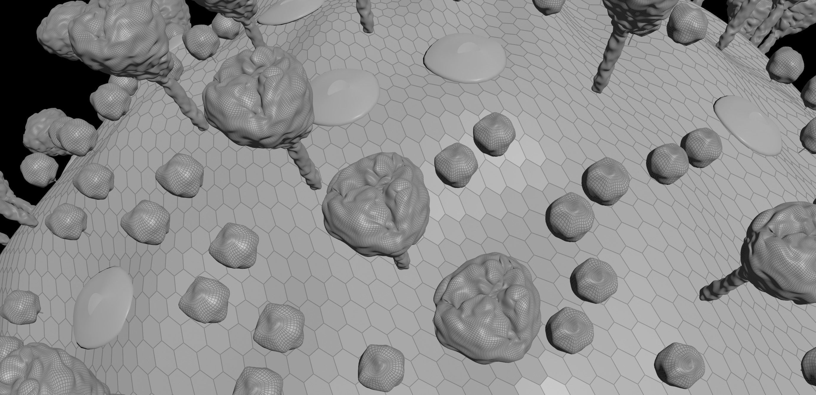 Corona Virus Covid 19 Bacteria 3D model | CGTrader