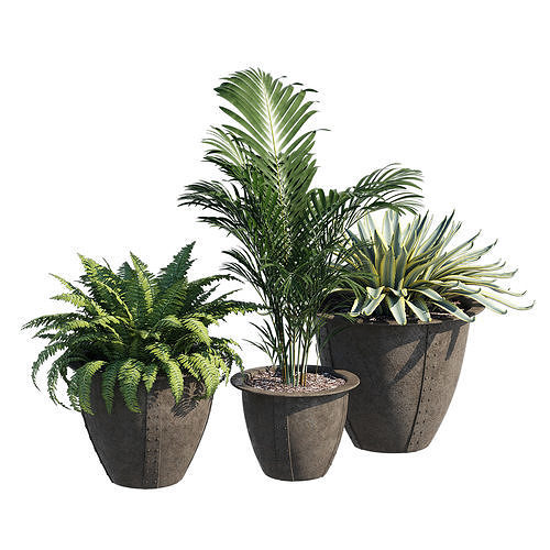 Fibreglass Norman Planter 3D model | CGTrader