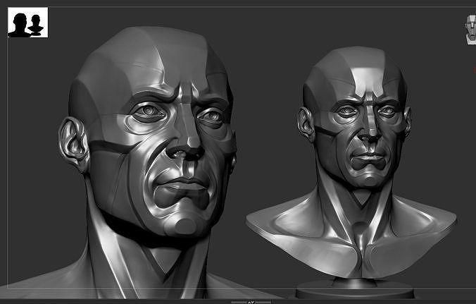 Planar Head Anatomy 3D model | CGTrader