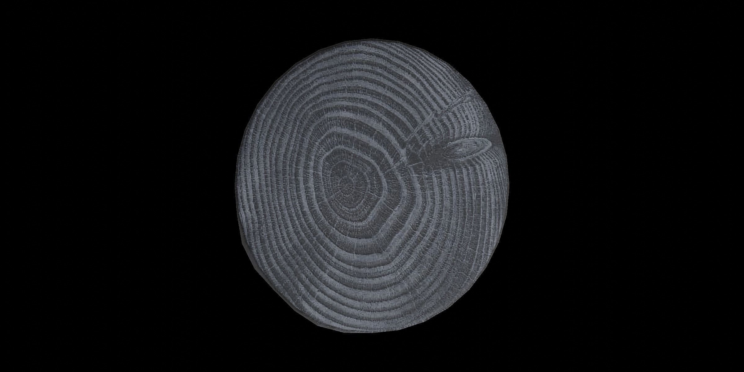 3D model Black Arbor Log Table VR / AR / low-poly | CGTrader