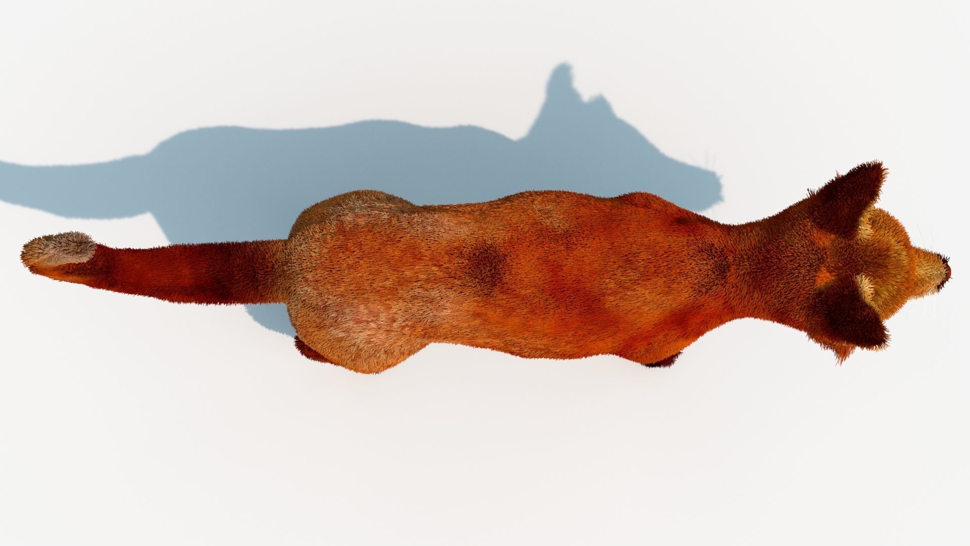 3D model MAYA XGEN FUR red fox VR / AR / low-poly | CGTrader