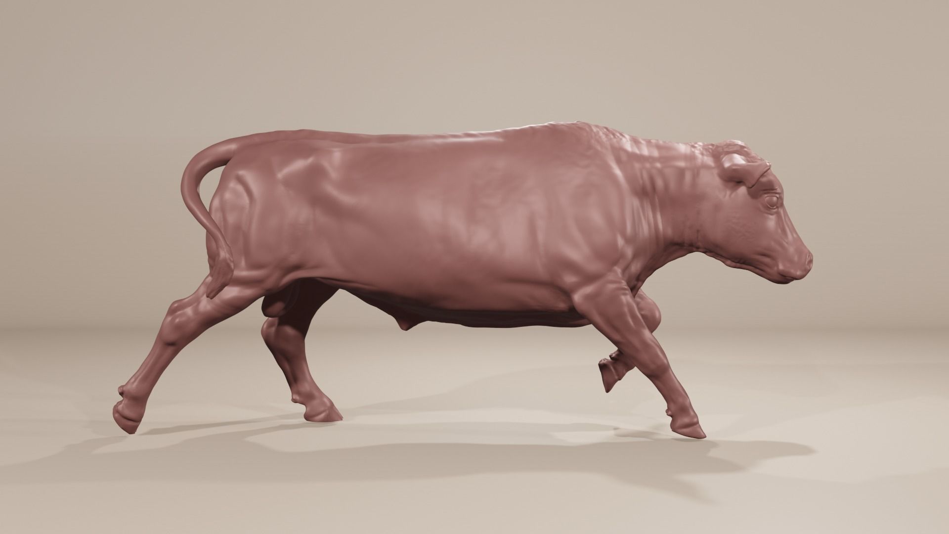 Running Bull realistic cattle for printing livestock Hereford 3D model ...