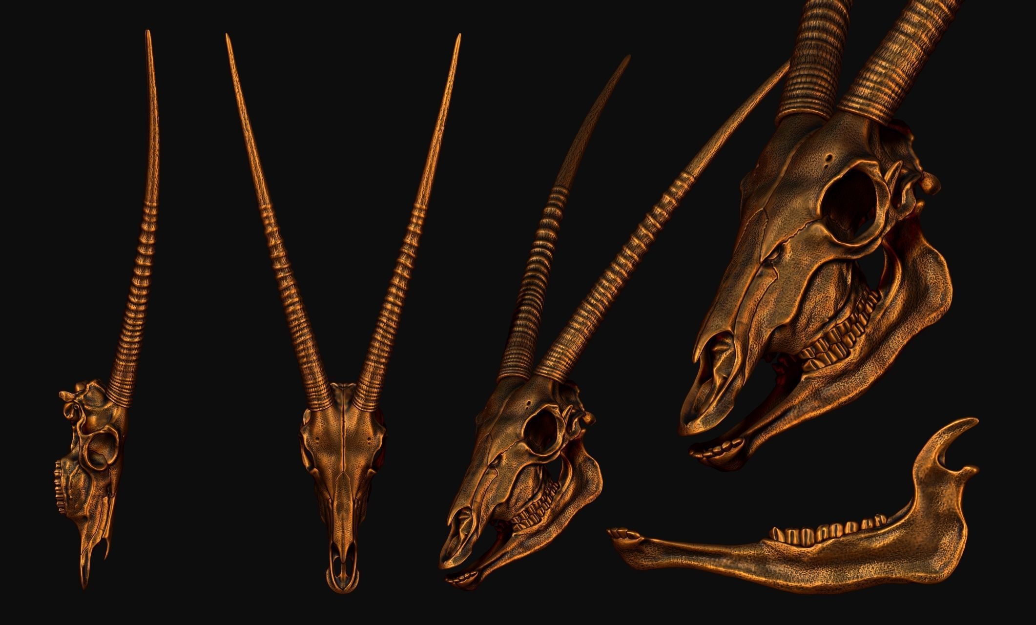 Oryx - Oryx gazella Skull 3D model 3D printable | CGTrader