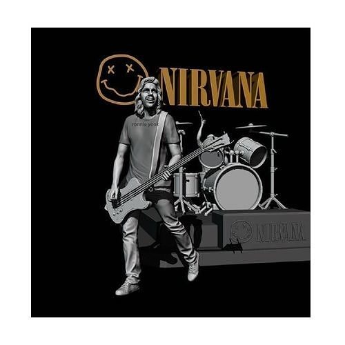 Krist Novoselic -nirvana 3dprinting 3D model 3D printable | CGTrader