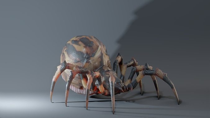 3D model Spider Monster - rigged VR / AR / low-poly | CGTrader