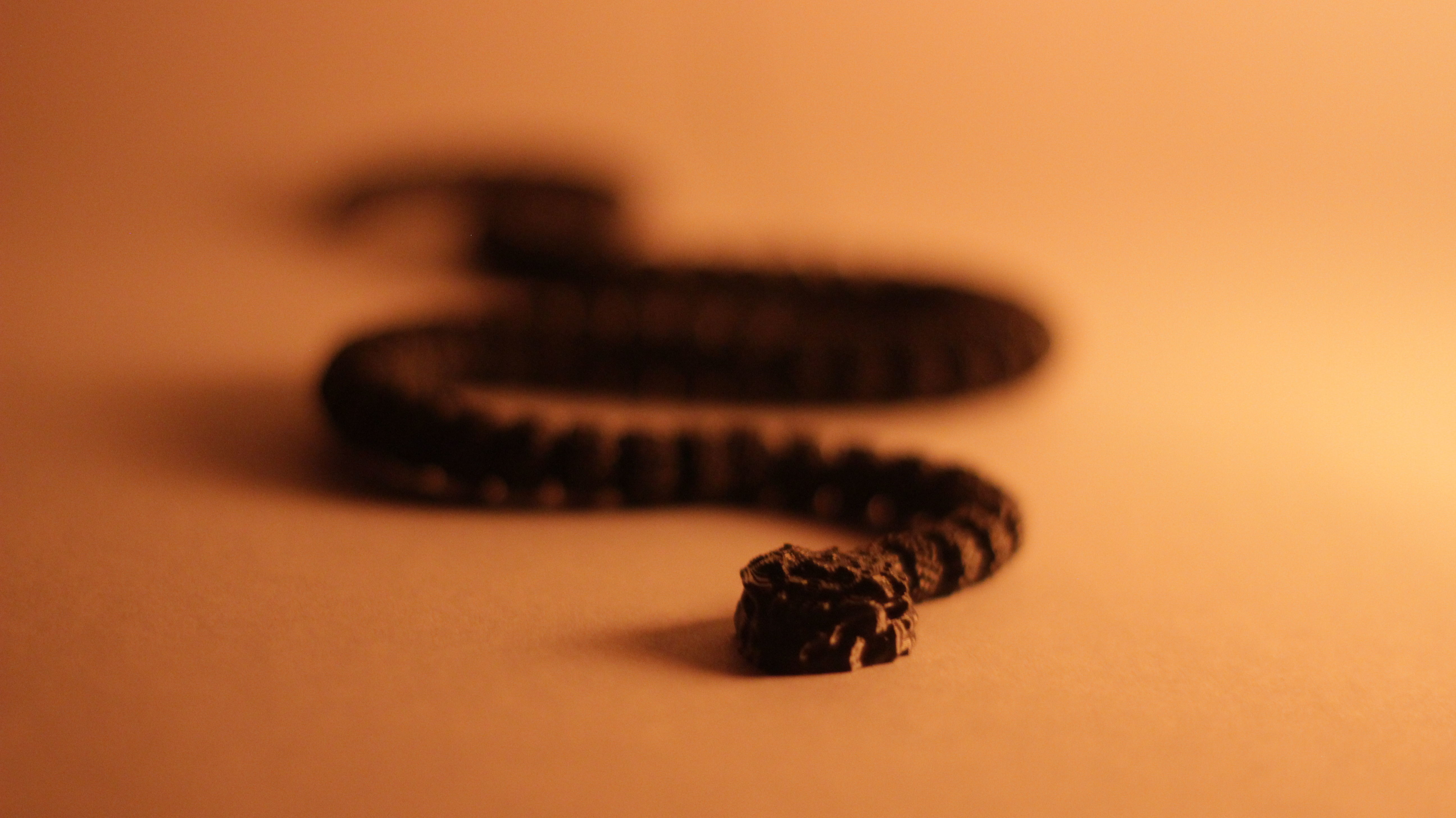 Articulated Rattlesnake 3D model 3D printable | CGTrader