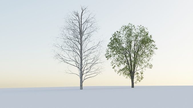 2 treee 3D model | CGTrader