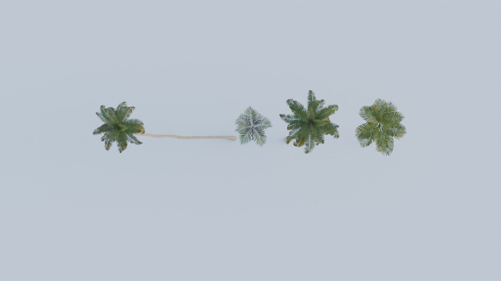 Tropical tree models 3D model | CGTrader