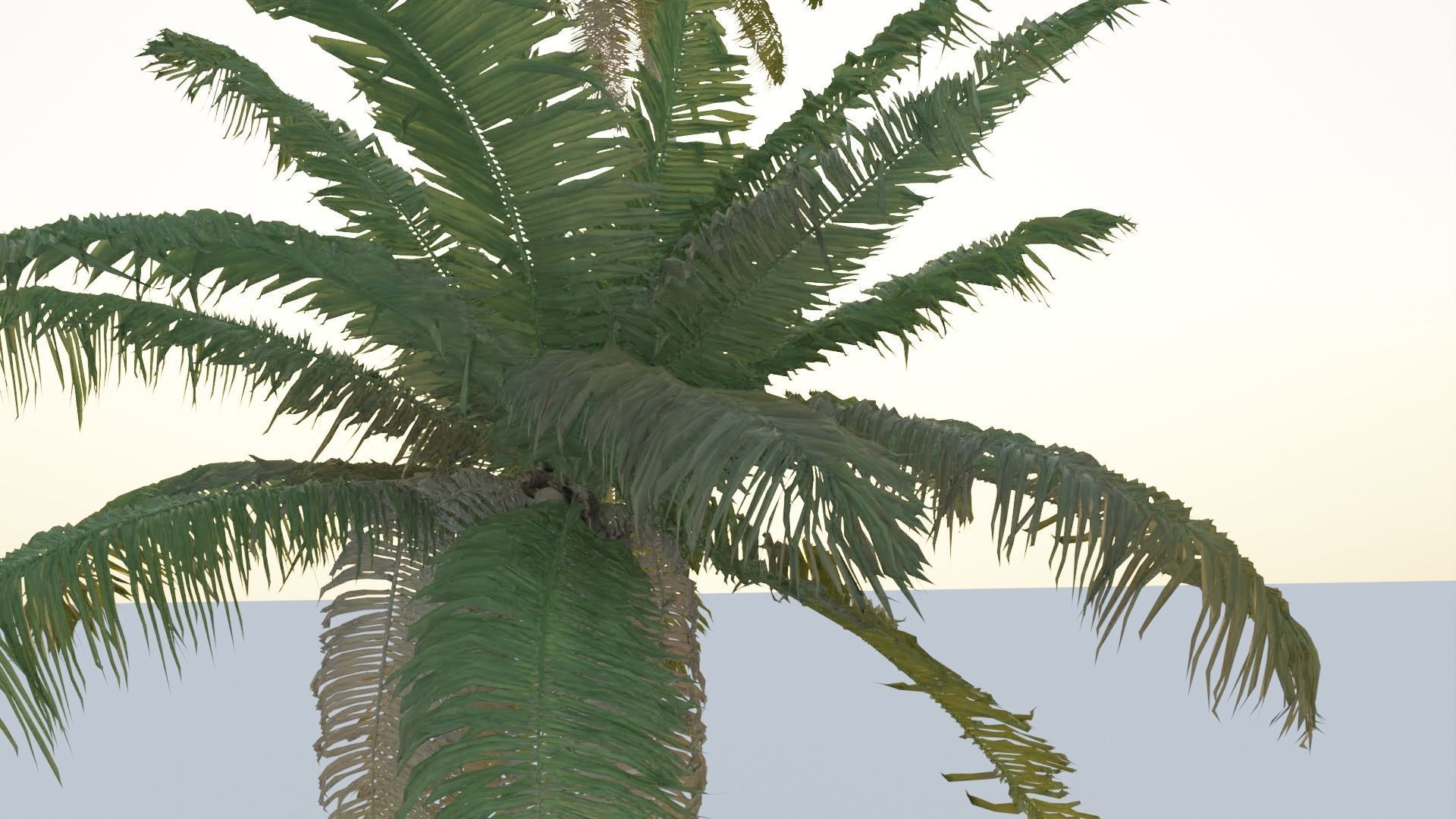Tropical tree models 3D model | CGTrader