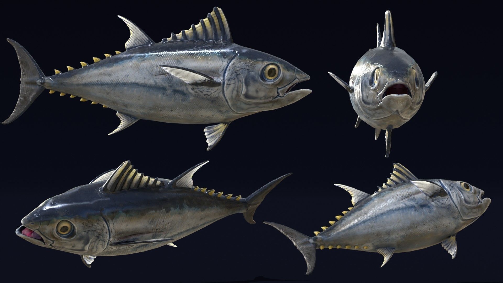 3D model Bluefin Tuna Fish low poly VR / AR / low-poly | CGTrader