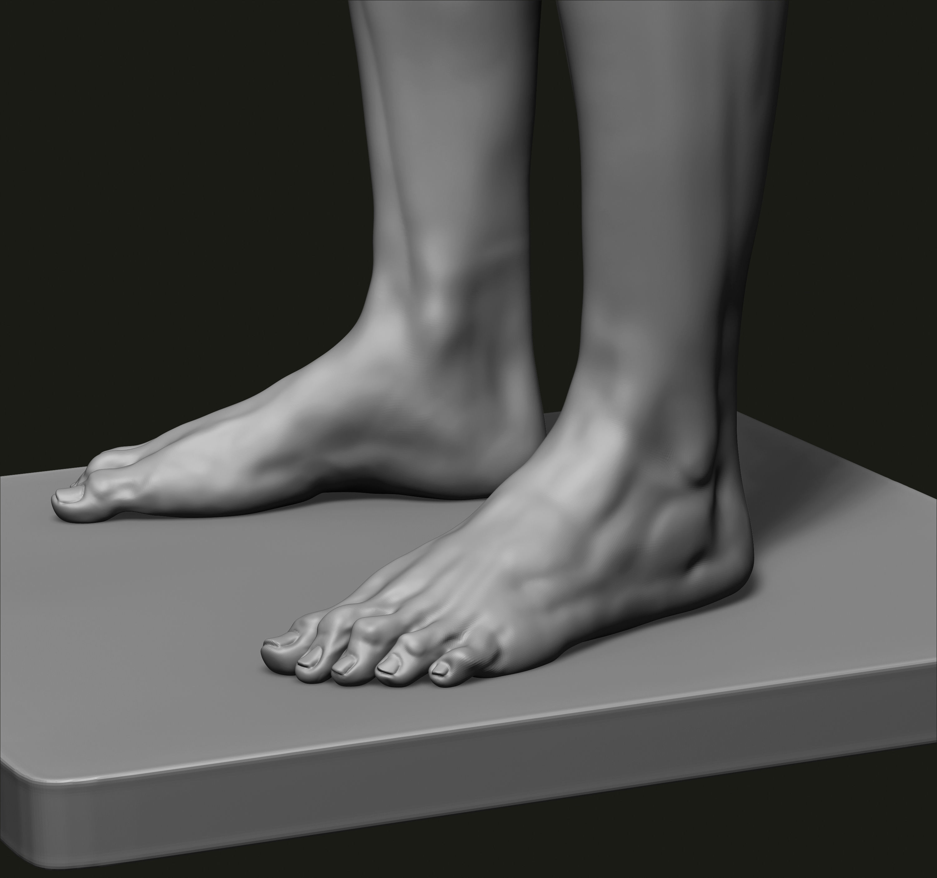 Male anatomy study 3D model 3D printable | CGTrader