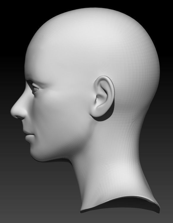 Female head base mesh 20 3D model | CGTrader