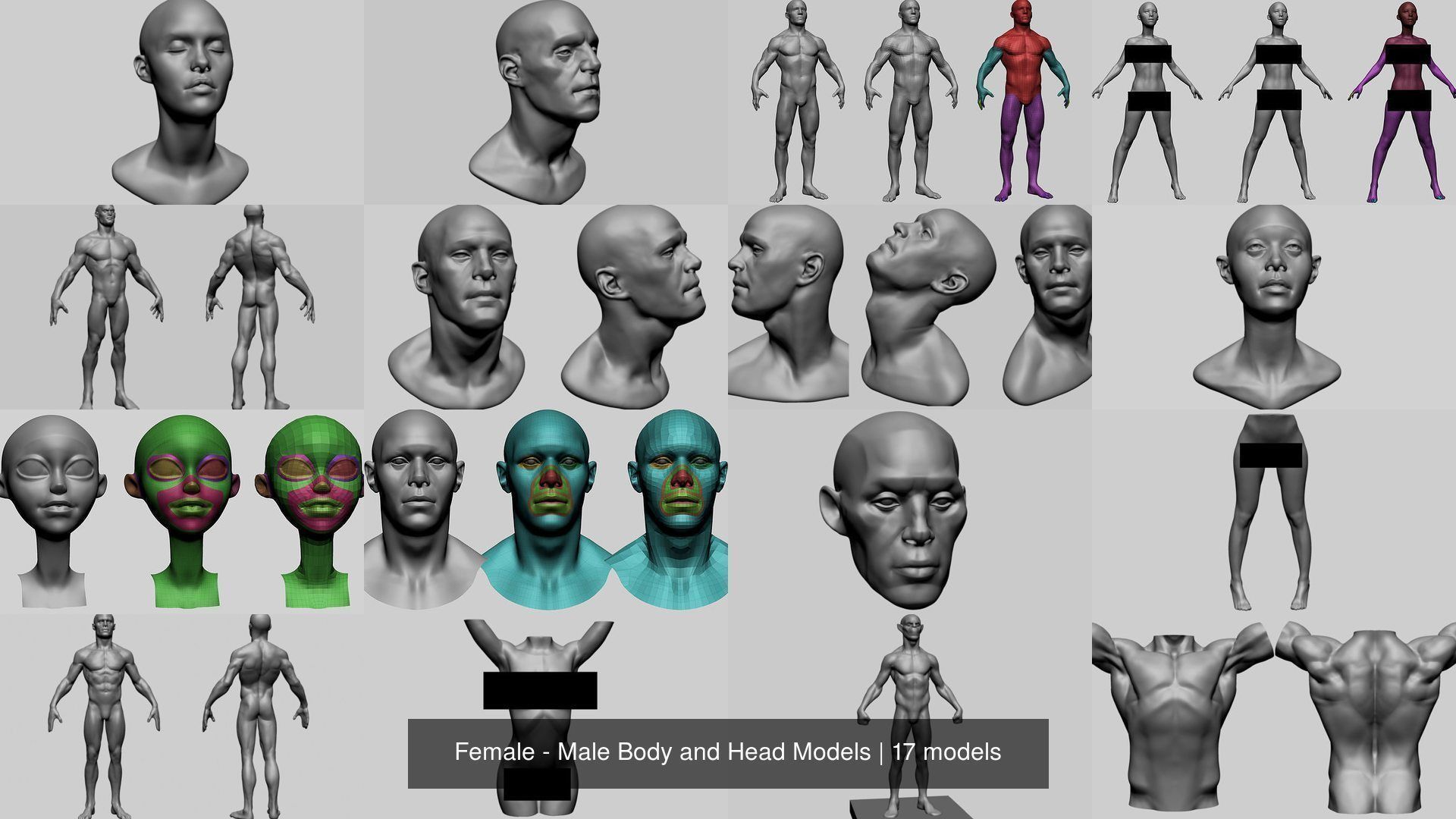 Female - Male Body and Head Models 3D Model Collection | CGTrader