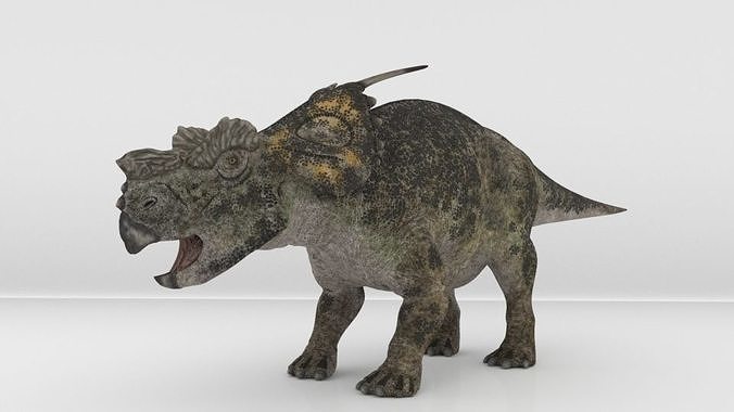 Achelousaurus 3D model | CGTrader