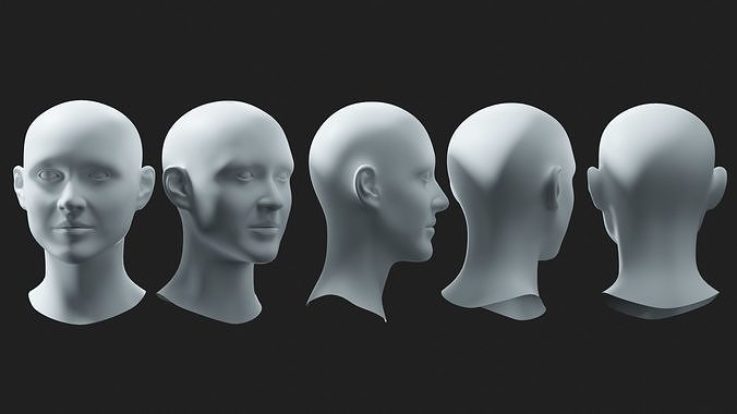 Female Head Basemesh 3D model | CGTrader