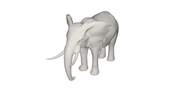 Elephant 3D model | CGTrader
