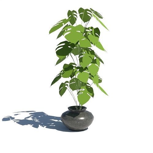3D model artificial plant and pot VR / AR / low-poly | CGTrader