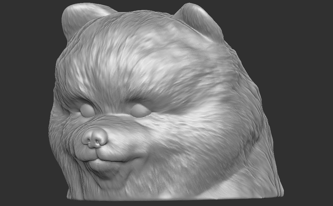 Puppy of Pomeranian dog head for 3D printing 3D model 3D printable ...