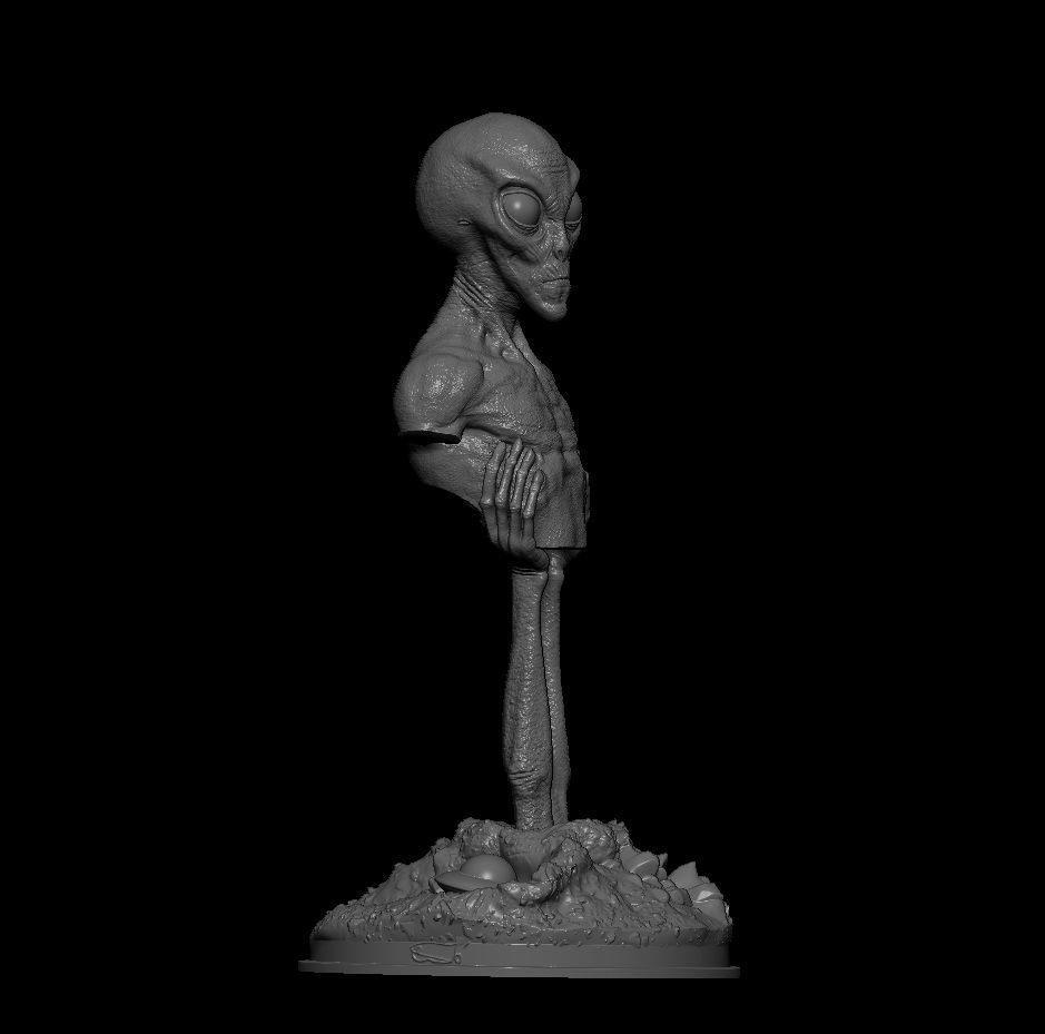 Grey Alien Bust 3D model for printing 3D model 3D printable | CGTrader