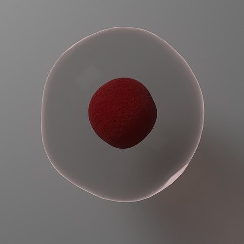 Human Cell free 3D model | CGTrader