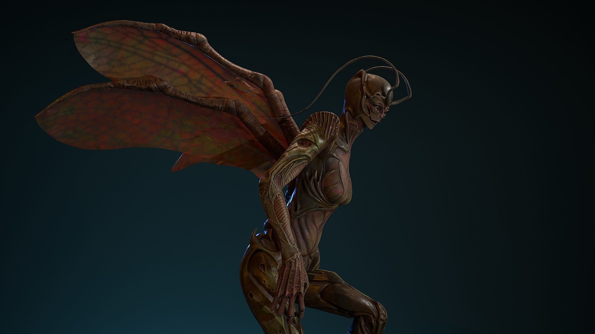 3D model Insect girl VR / AR / low-poly | CGTrader