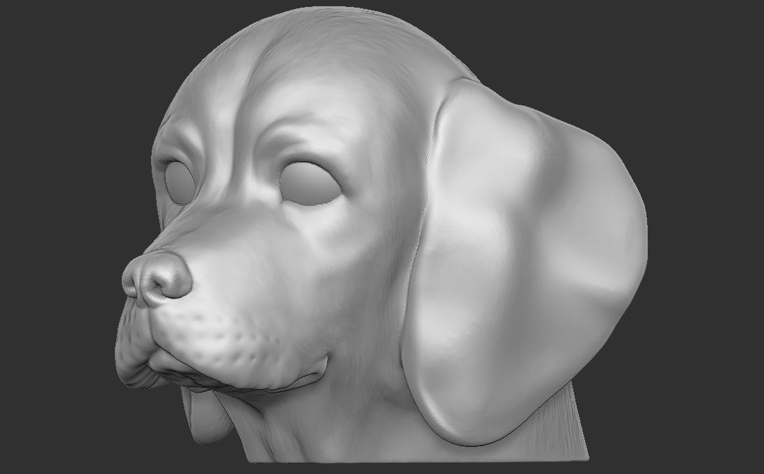 Puppy of Beagle dog head for 3D printing 3D model 3D printable | CGTrader