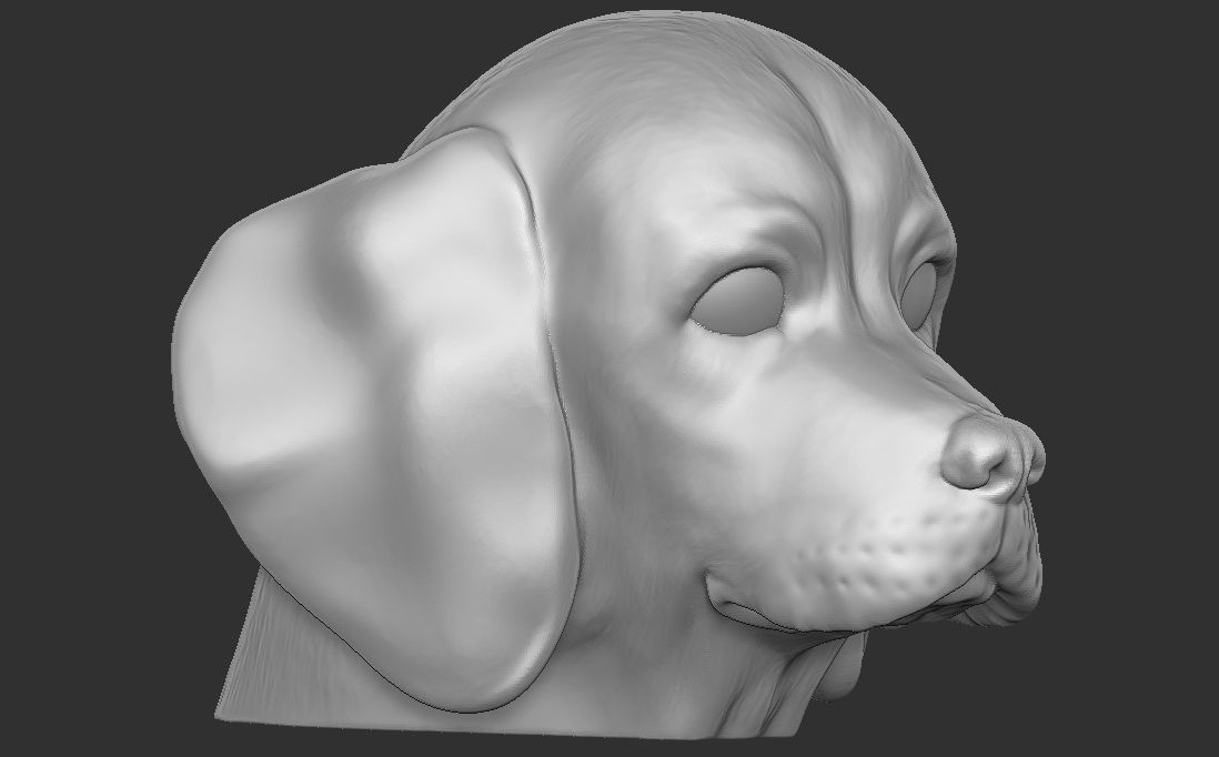 Puppy of Beagle dog head for 3D printing 3D model 3D printable | CGTrader