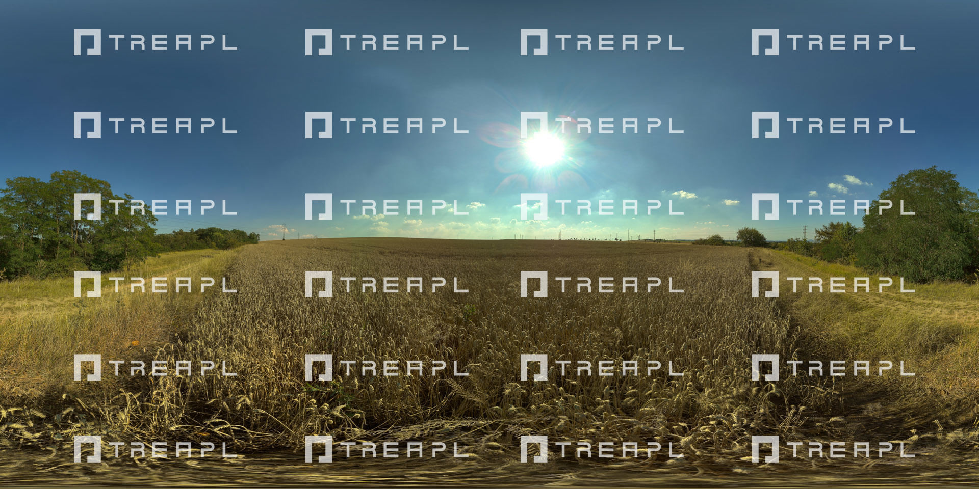 3D Model Collection 10X HDRI SKY VOL05 - ULTIMATE SPEED 3D CROWDS ...