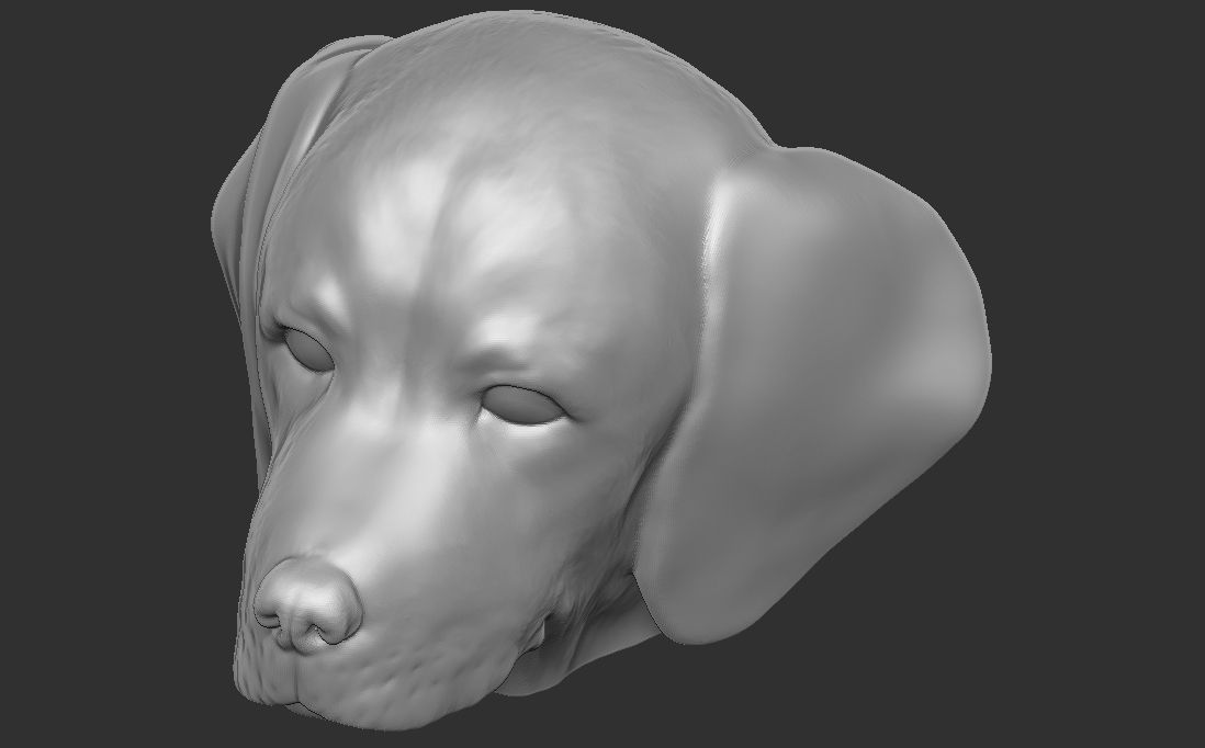 Puppy of Weimaraner dog head for 3D printing 3D model 3D printable ...