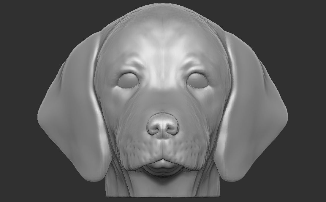 Puppy of Weimaraner dog head for 3D printing 3D model 3D printable ...