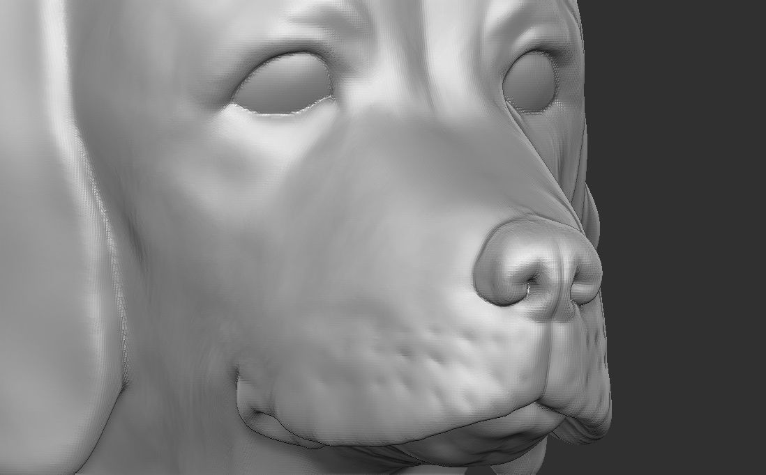 Puppy of Weimaraner dog head for 3D printing 3D model 3D printable ...