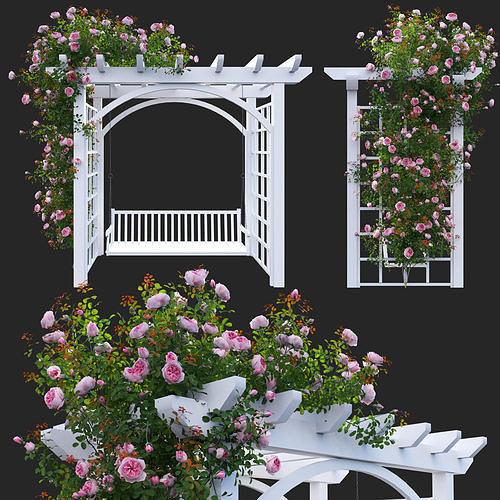 Climbing Rose - Rose Swing 3D model | CGTrader