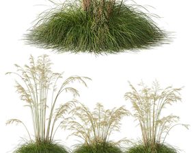 Oat 3D Models | CGTrader