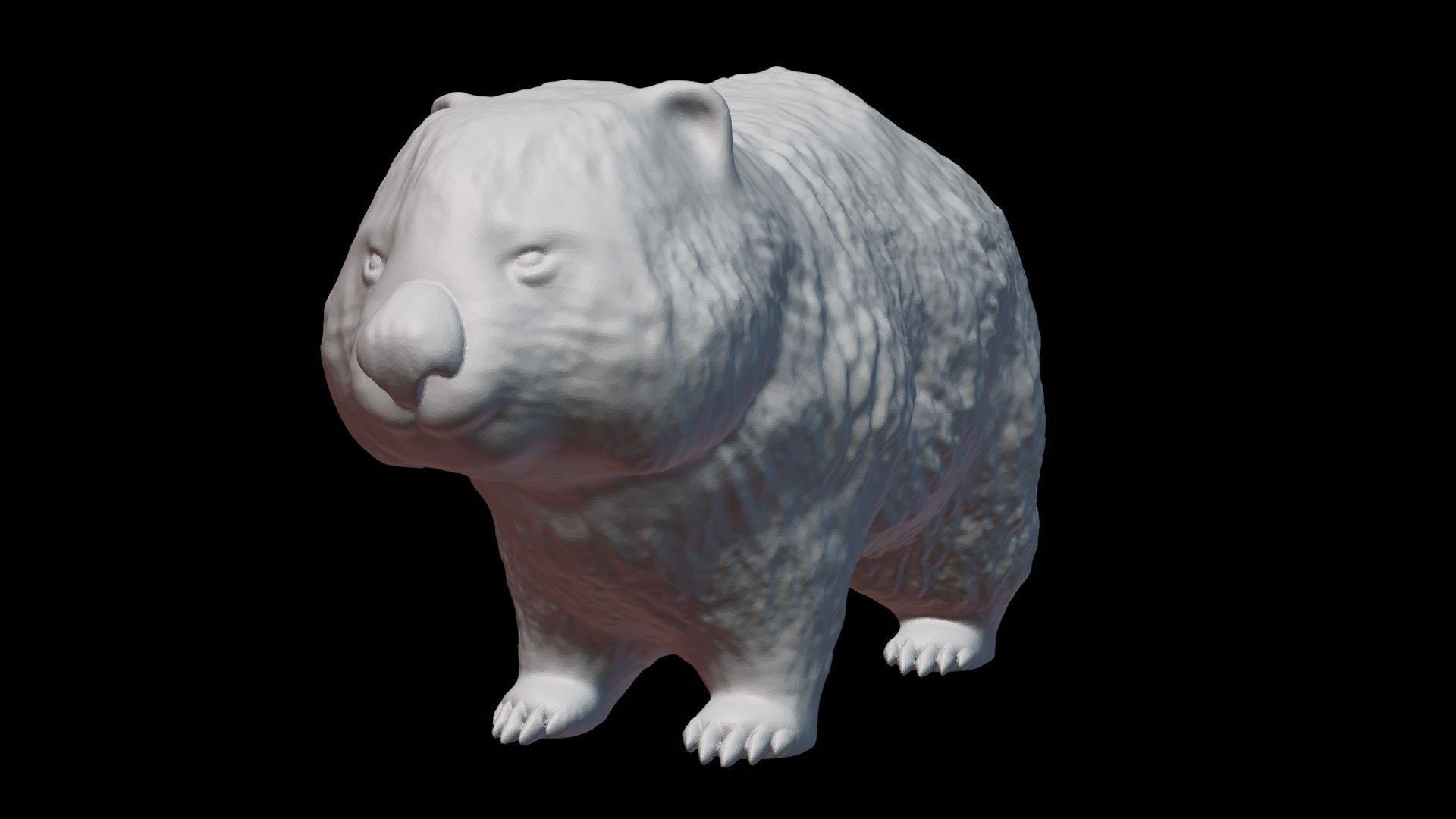 Australian Common Wombat 3D model 3D printable | CGTrader