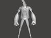 Franky before Time skip 3D Model 3D model 3D printable | CGTrader