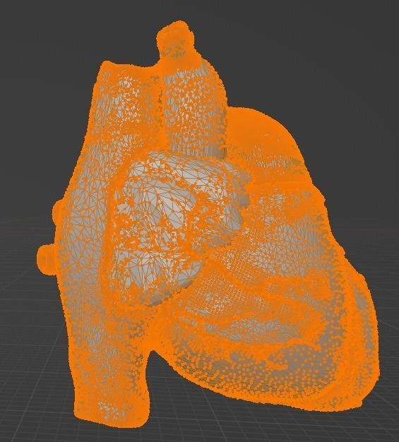 3d model of heart - apical 2 chamber plane 3D model 3D printable | CGTrader