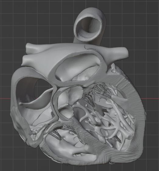 3d model of heart - apical 5 chamber plane 3D model | CGTrader