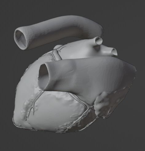3d model of heart - apical 5 chamber plane 3D model | CGTrader