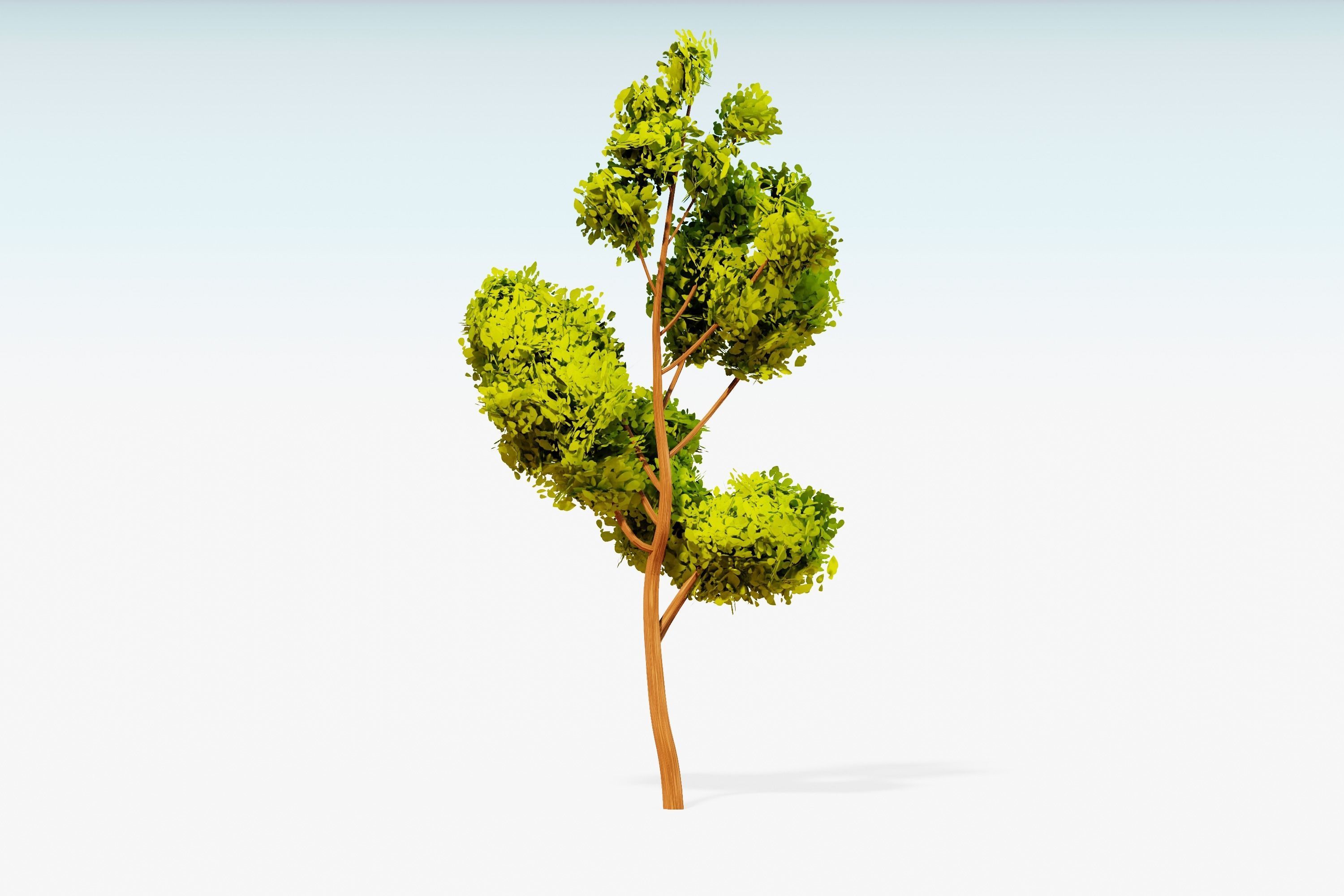 3D model Stylized Trees Pack 55 Trees VR / AR / low-poly | CGTrader