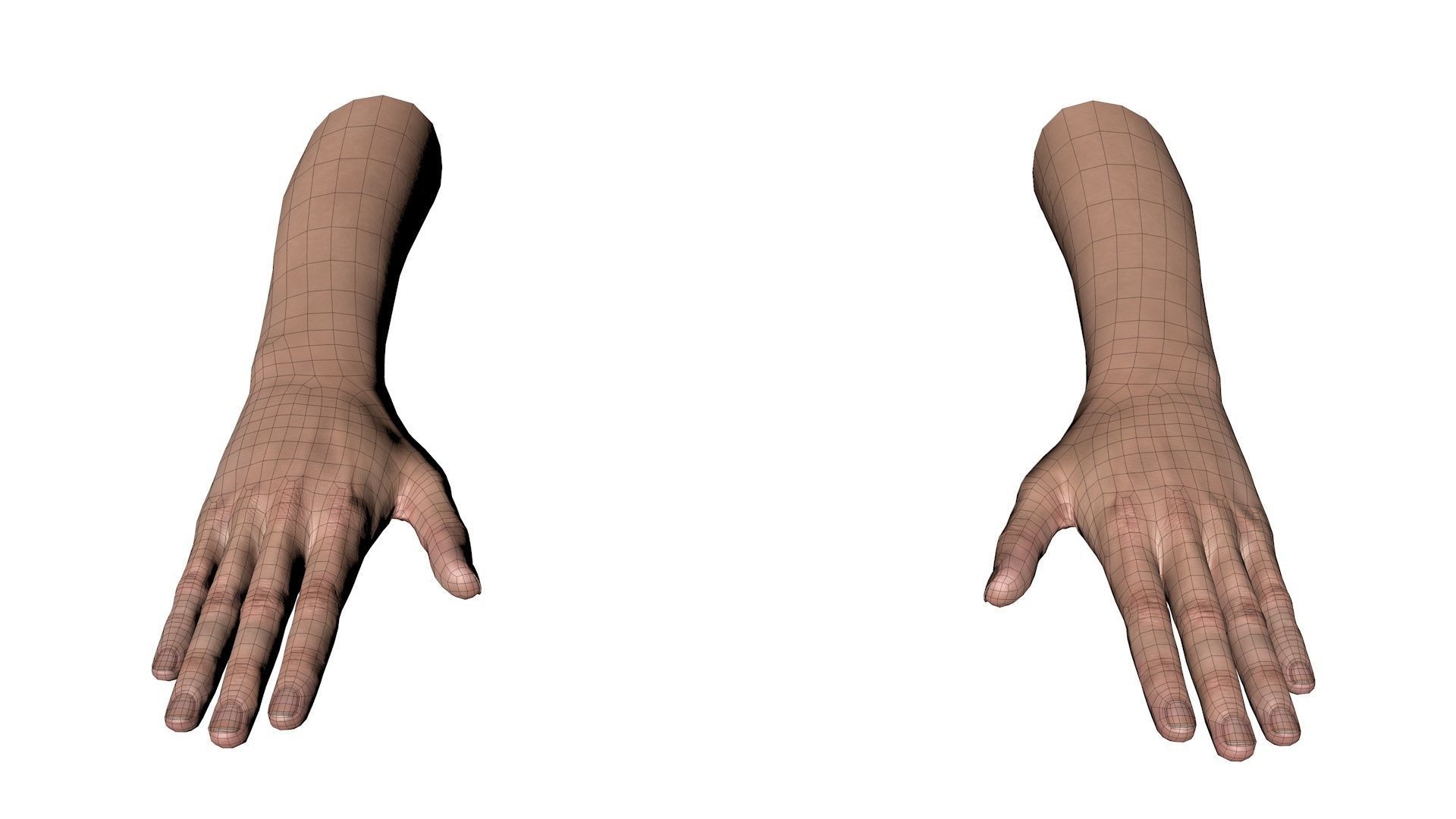 Female Hand Rigged for Cinema 4D 3D model rigged | CGTrader