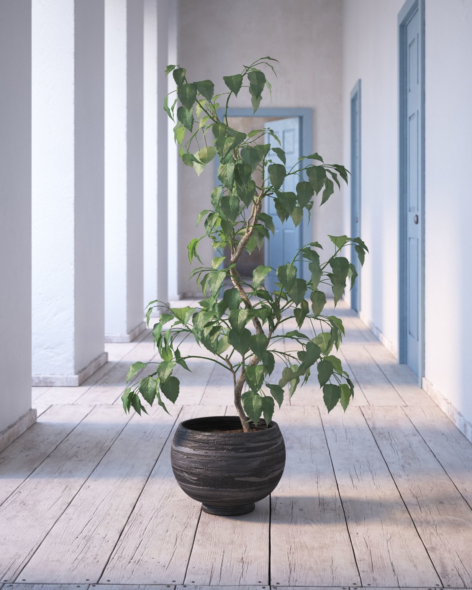 plants vray 3D model | CGTrader