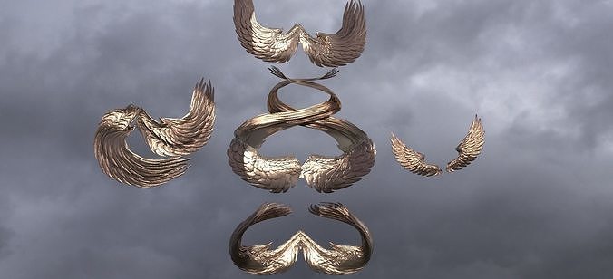 Wind Elements Wings Collection 3D model | CGTrader