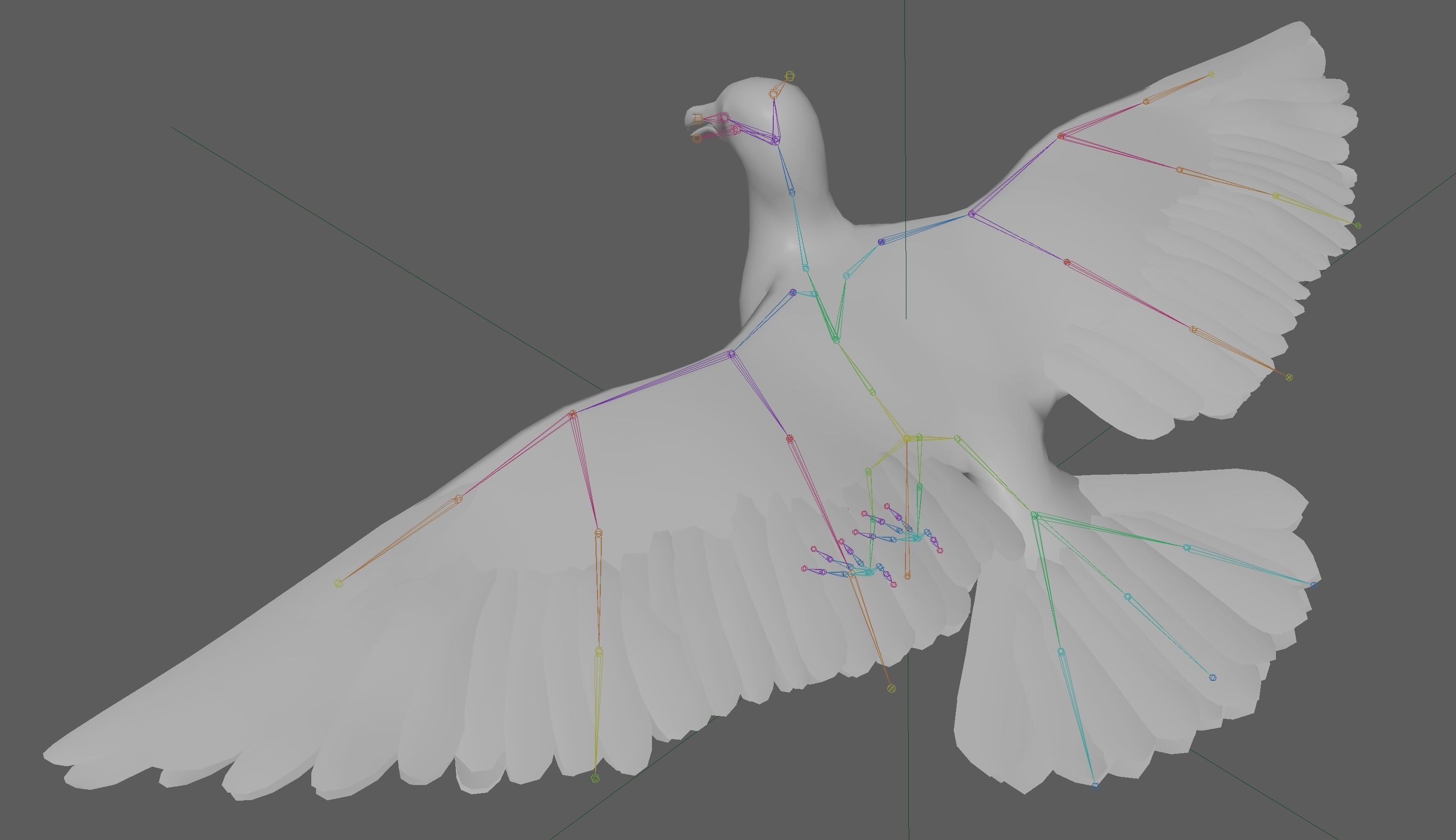 Seagull 3D model rigged | CGTrader