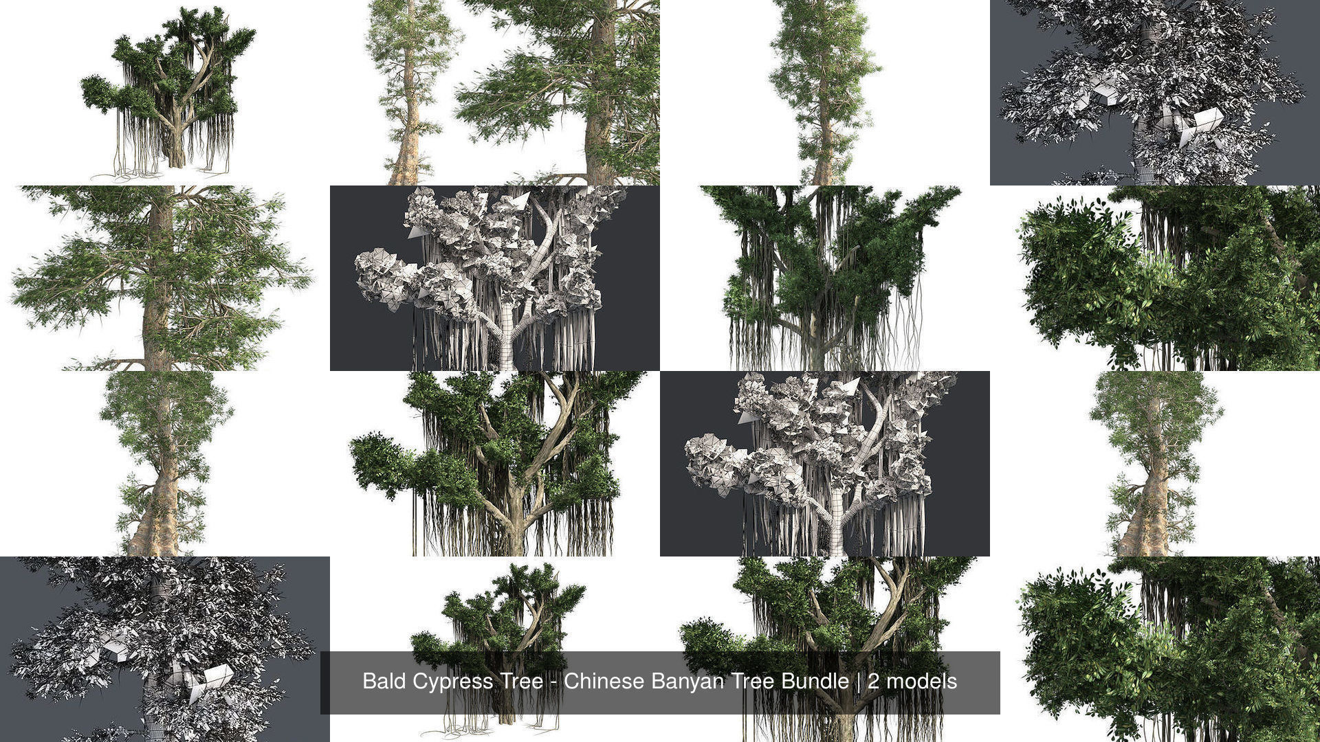 3D Model Collection Bald Cypress Tree - Chinese Banyan Tree Bundle VR ...