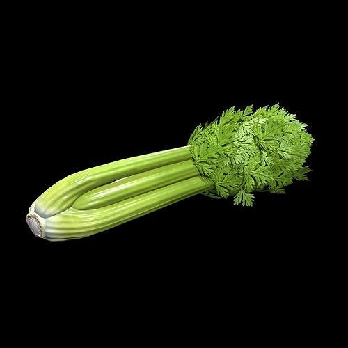 3D model Celery VR / AR / low-poly | CGTrader