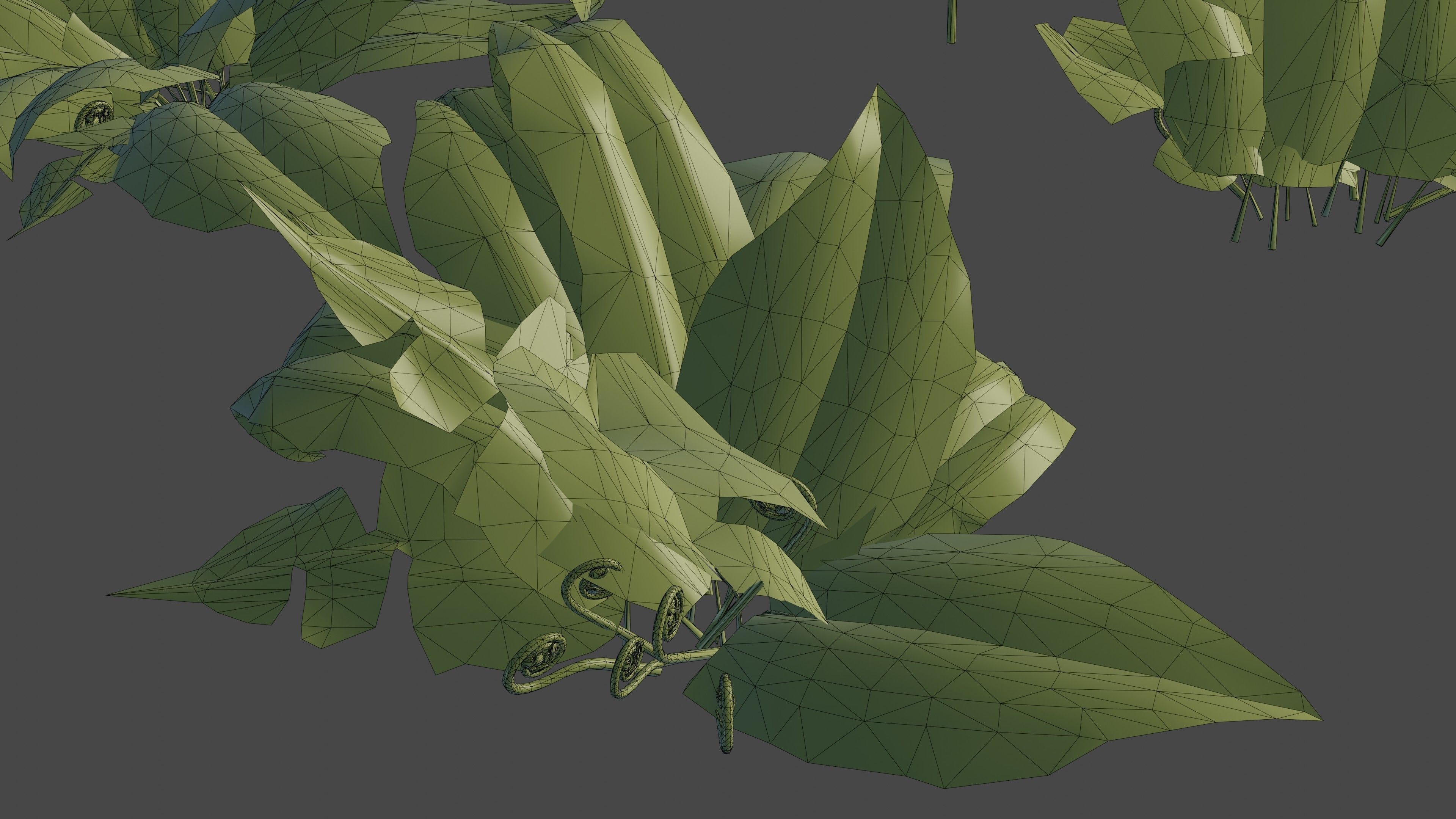 3D model Fern weed VR / AR / low-poly | CGTrader