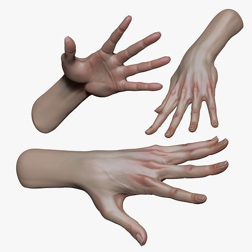 Female Pro Hand Sculpt Project 3D model | CGTrader
